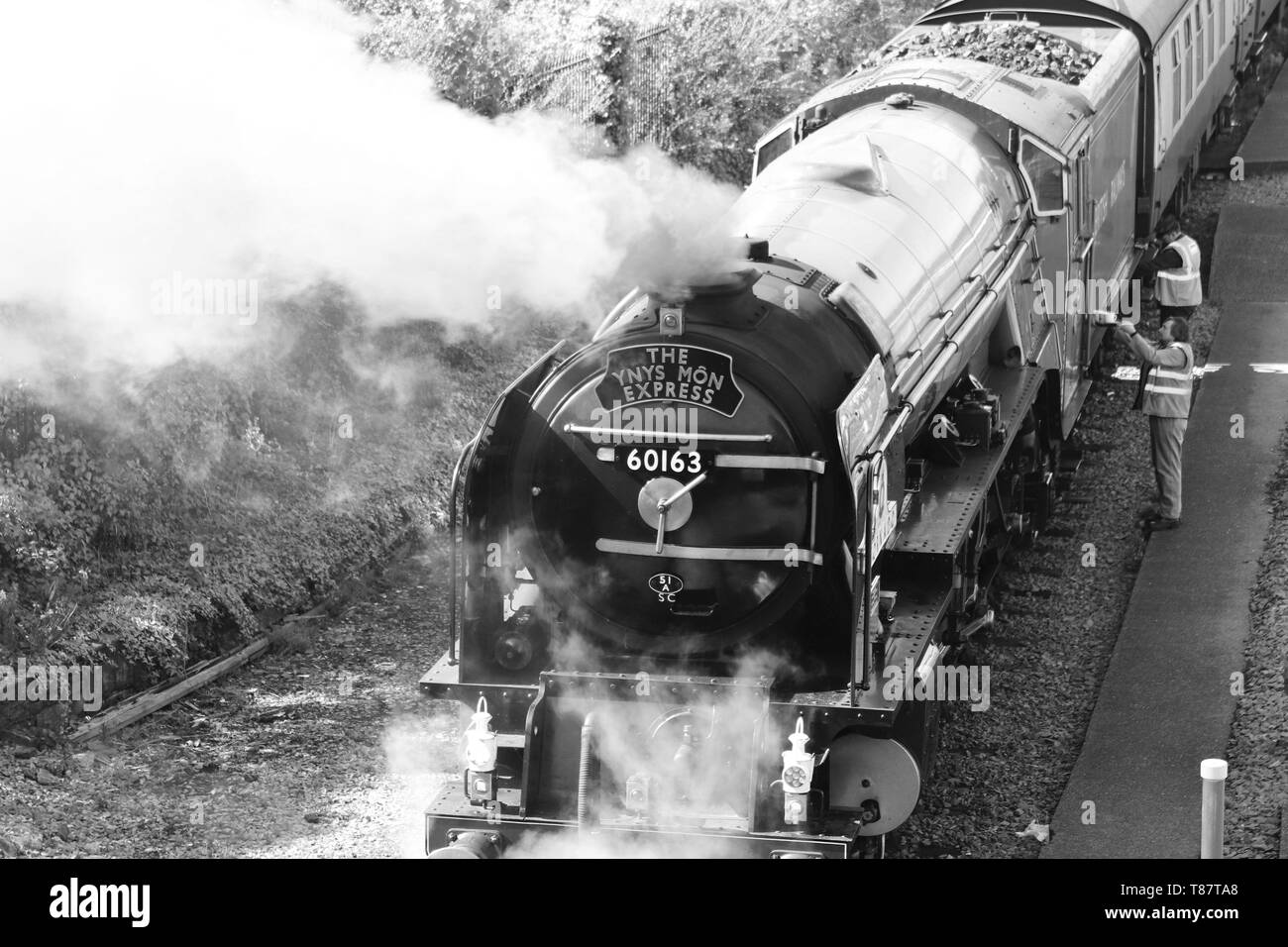 The 60163 Tornado steam locomotive hauling the Ynys mon express from ...