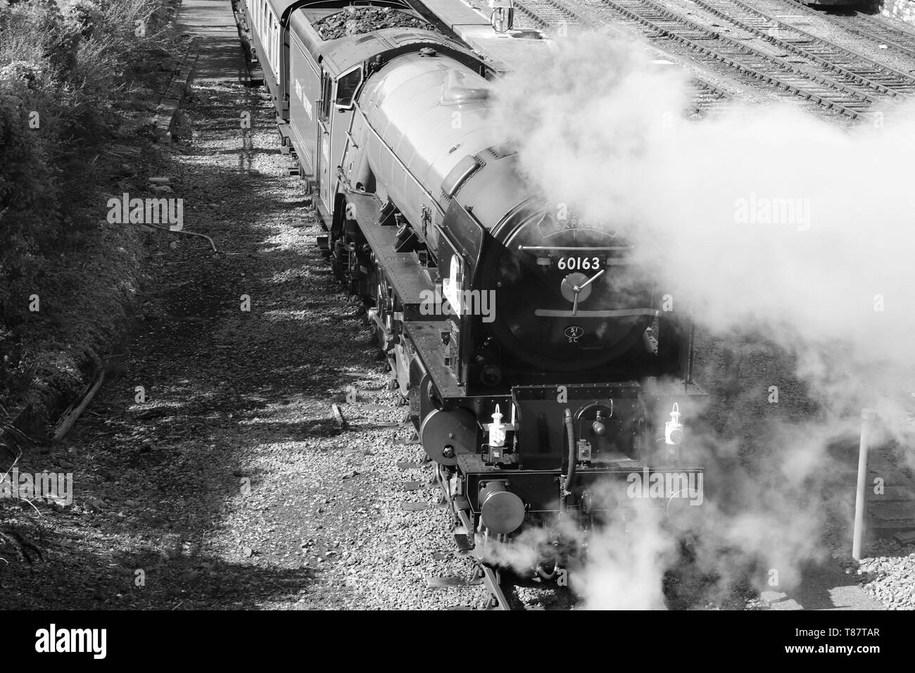 The 60163 Tornado steam locomotive hauling the Ynys mon express from ...