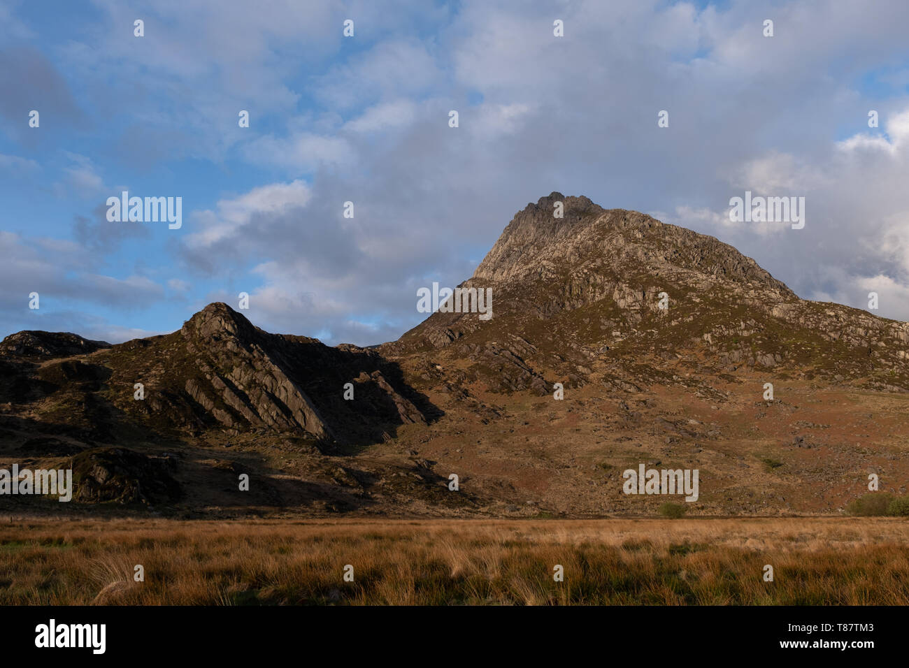 Morning sunlight on Tryfan Peak, Snowdonia, North Wales Stock Photo - Alamy