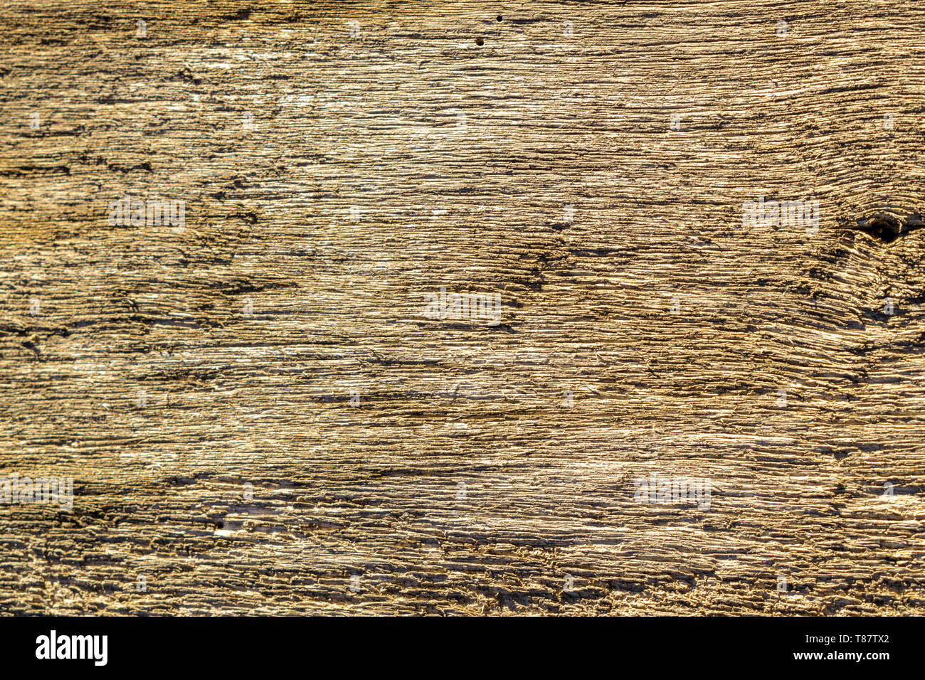 wallpaper padded textured texture of an old, rotten tree Stock Photo ...