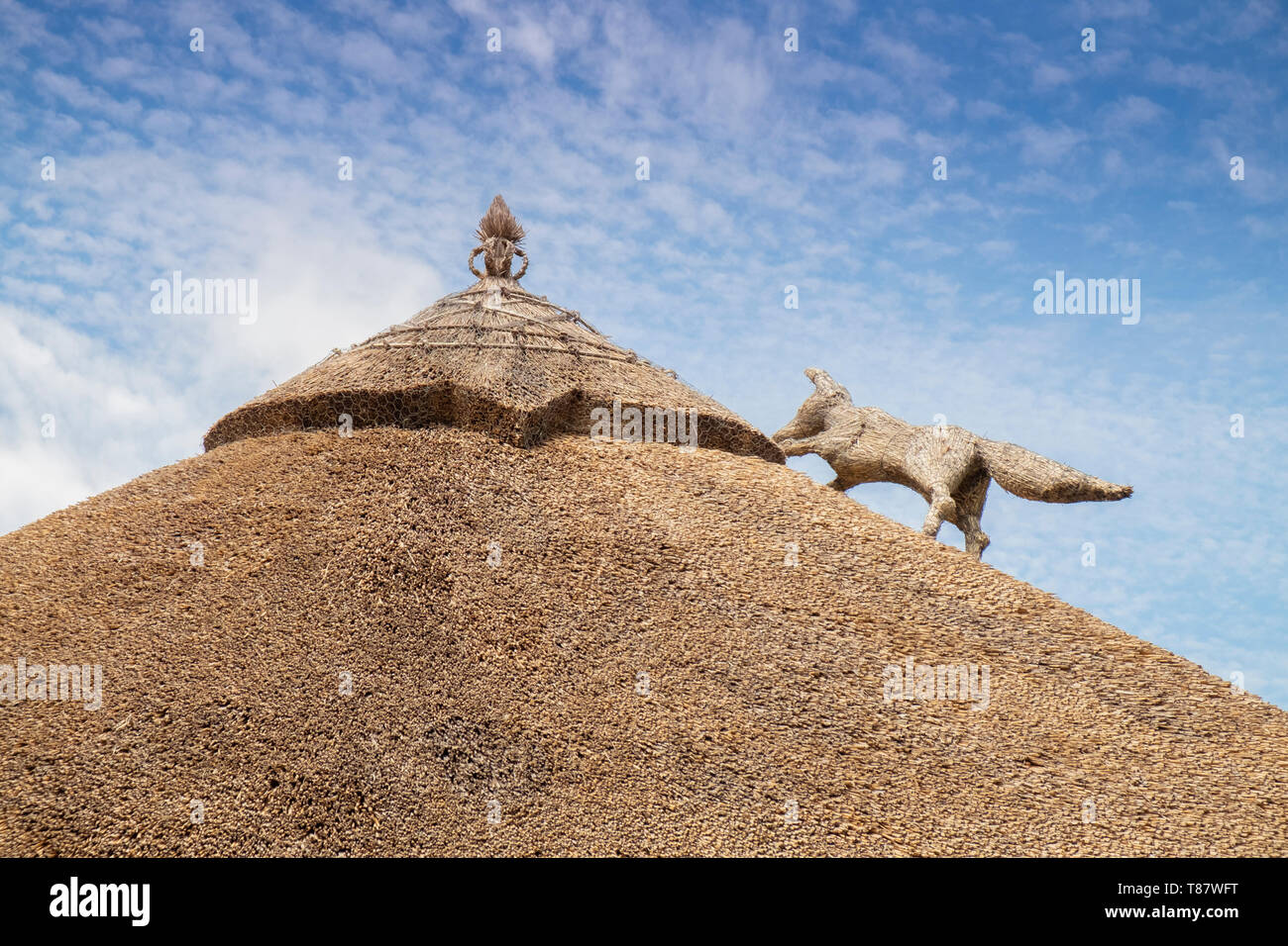 Thatched roof animals hi-res stock photography and images - Alamy