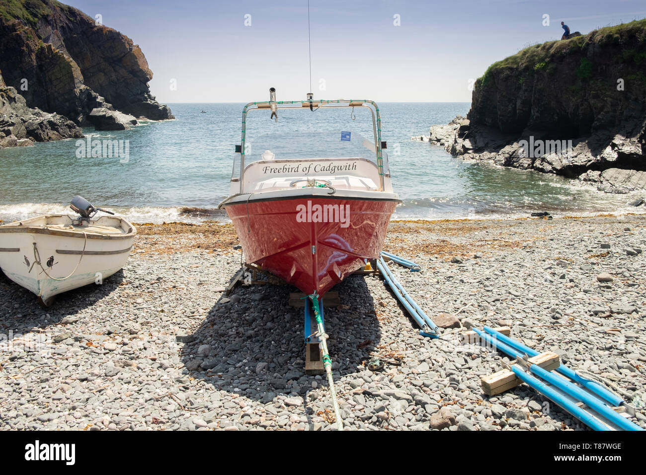 Boat "Freebird of Cadgwith" on pebble beach with blue plastic rollers ...