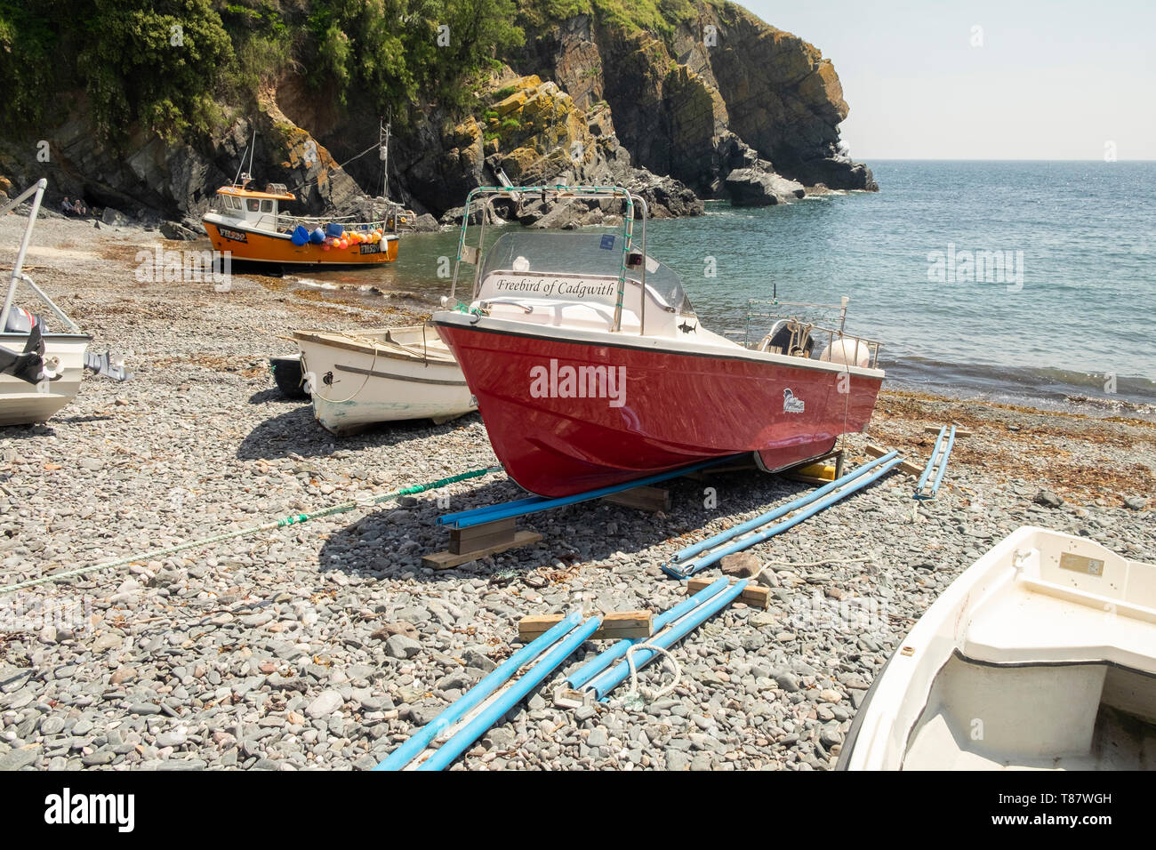 Boat "Freebird of Cadgwith" on pebble beach with blue plastic rollers ...