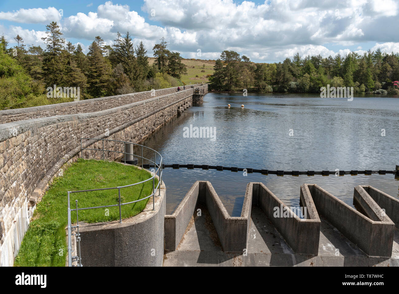 Dartmoor National Park, Devon, England, UK. May 2019, The Venford ...