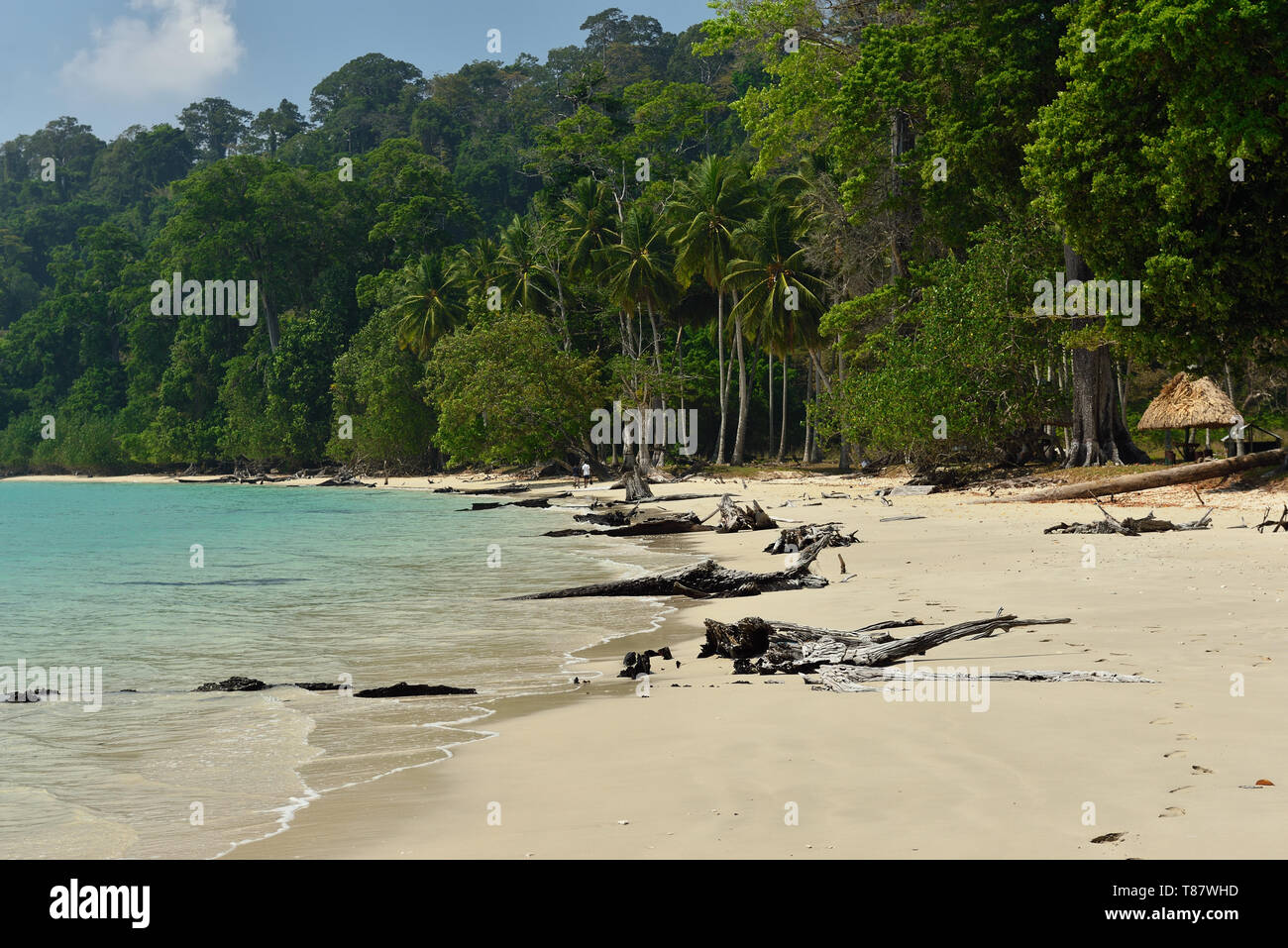 Lalaji beach at Long Island, Andaman and Nicobar Islands, India Stock ...