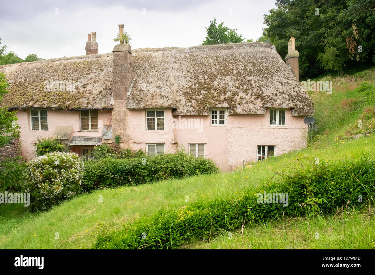 Pink thatched cottage with roof in need of maintenance in the village ...