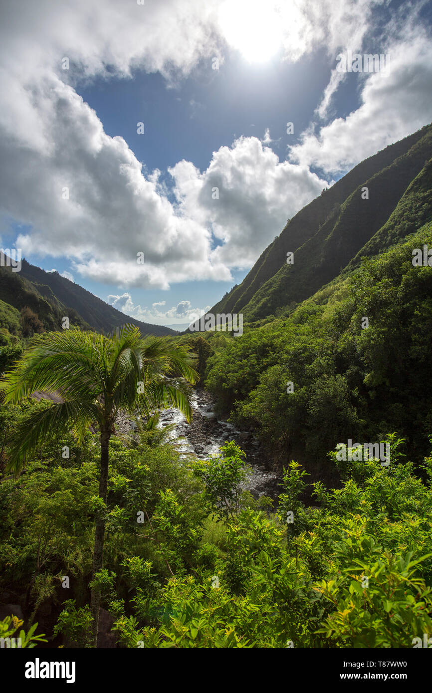 Maui the valley island hi-res stock photography and images - Alamy