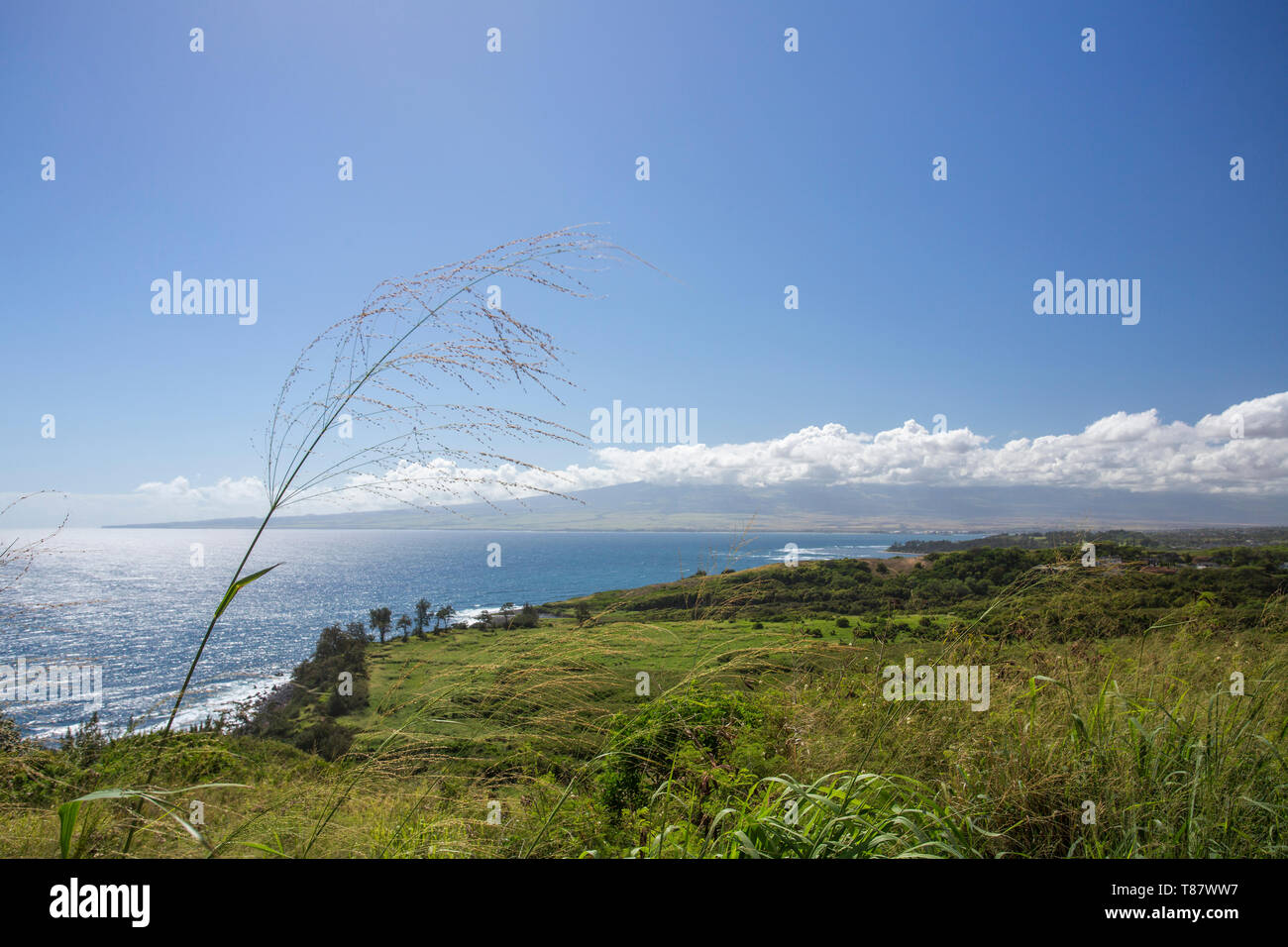 A view across the ocean in Maui, Hawaii Stock Photo - Alamy