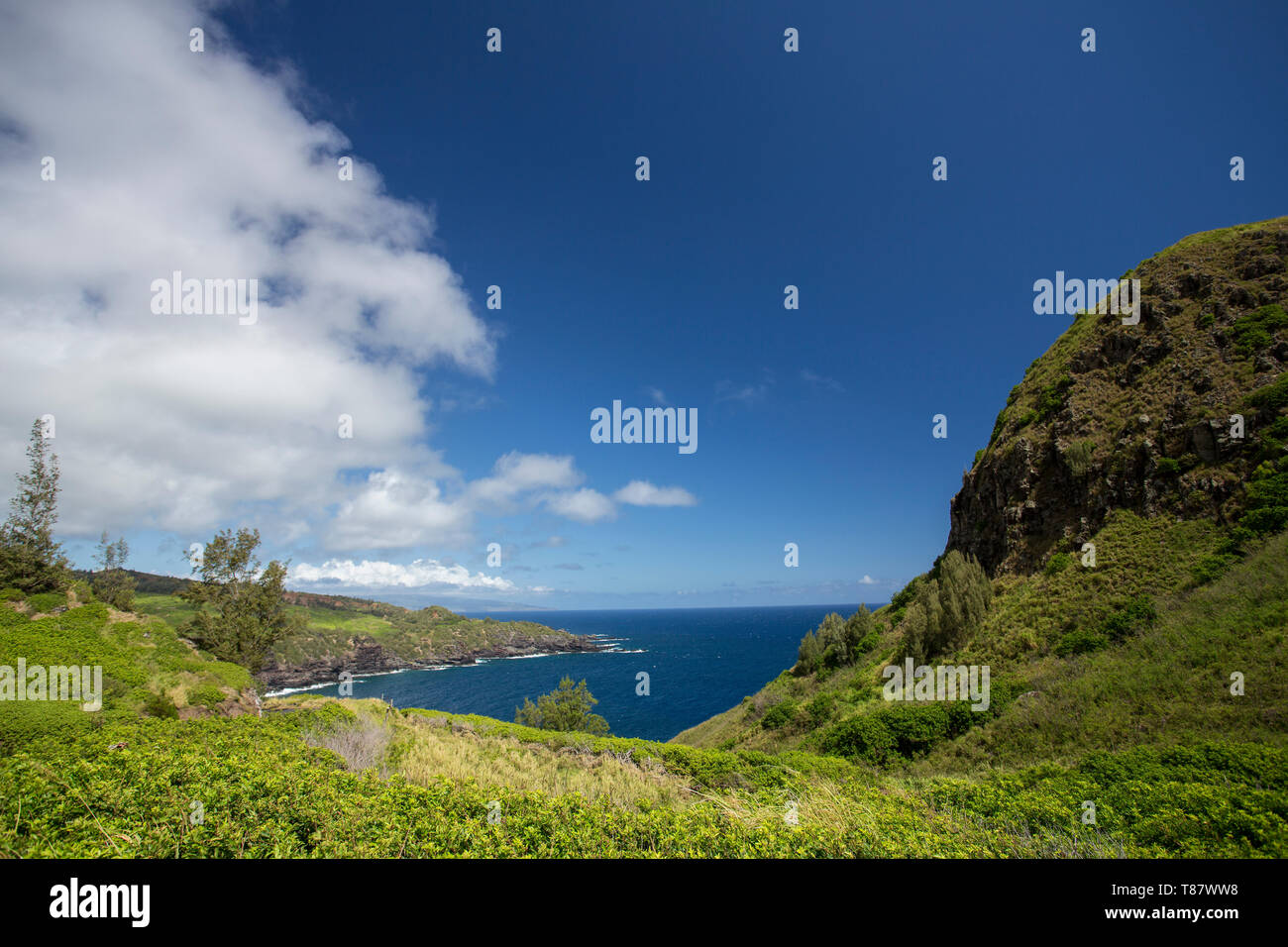 Maui ocean view hi-res stock photography and images - Alamy