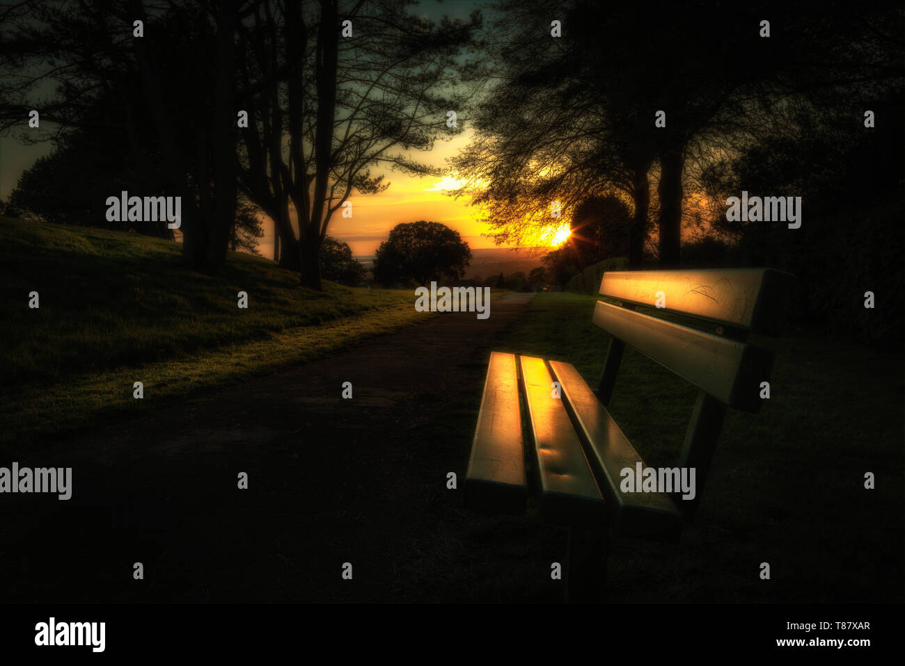 Sunset at Ravenhill Park Stock Photo - Alamy