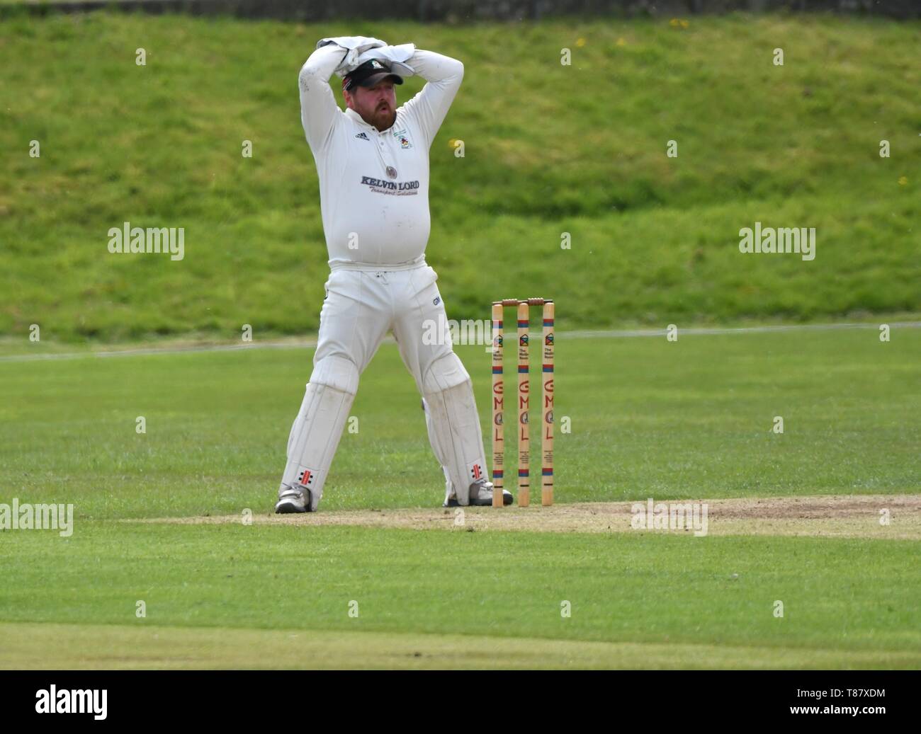 Wicket keeper hi-res stock photography and images - Alamy