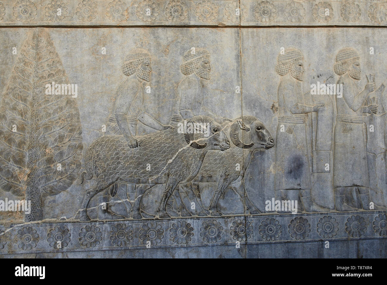 The beautiful reliefs in the ruins of Ancient Persepolis Complex of ...