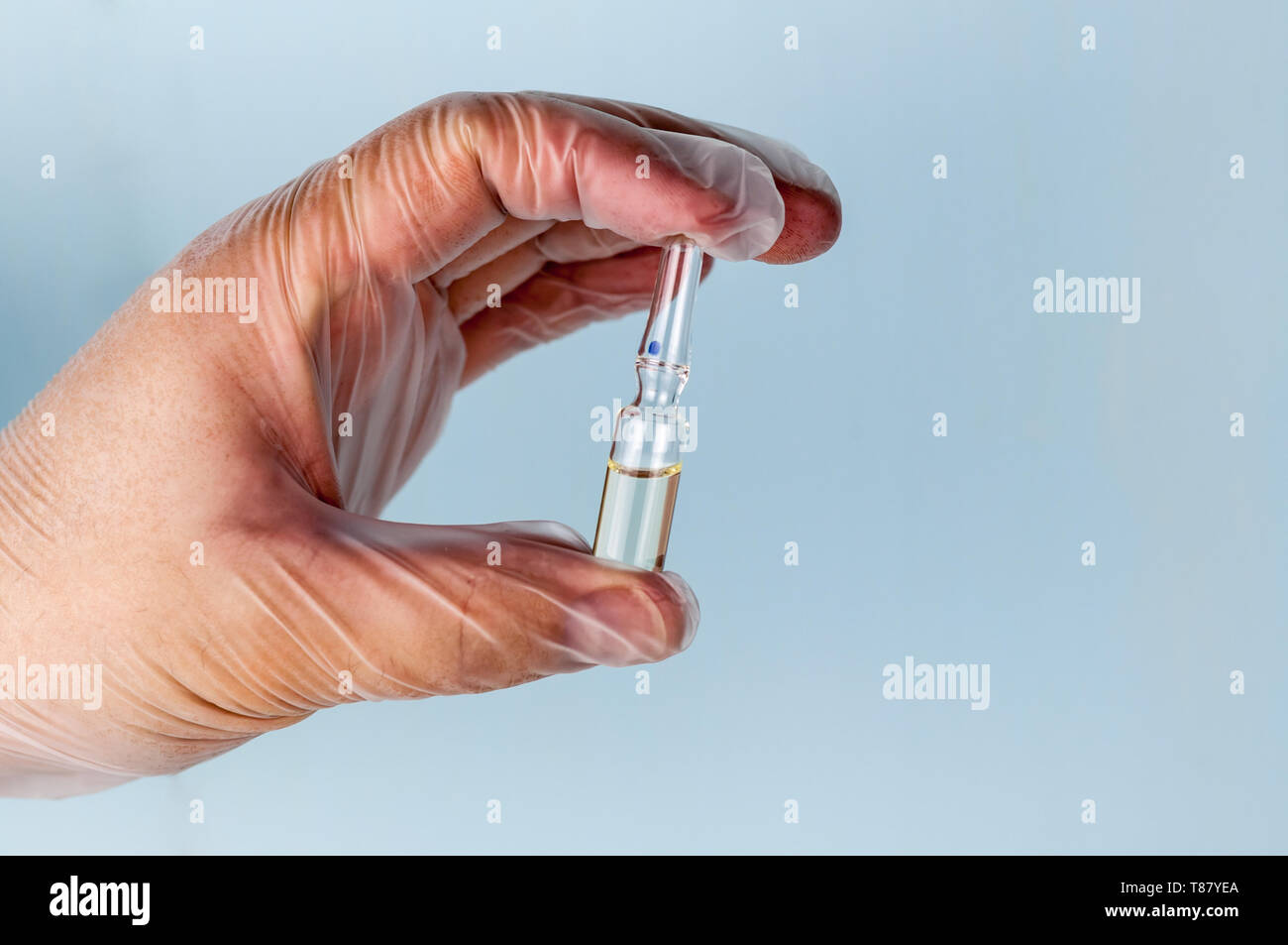 Male hand in a transparent medical nitrile glove holds a vial of ...