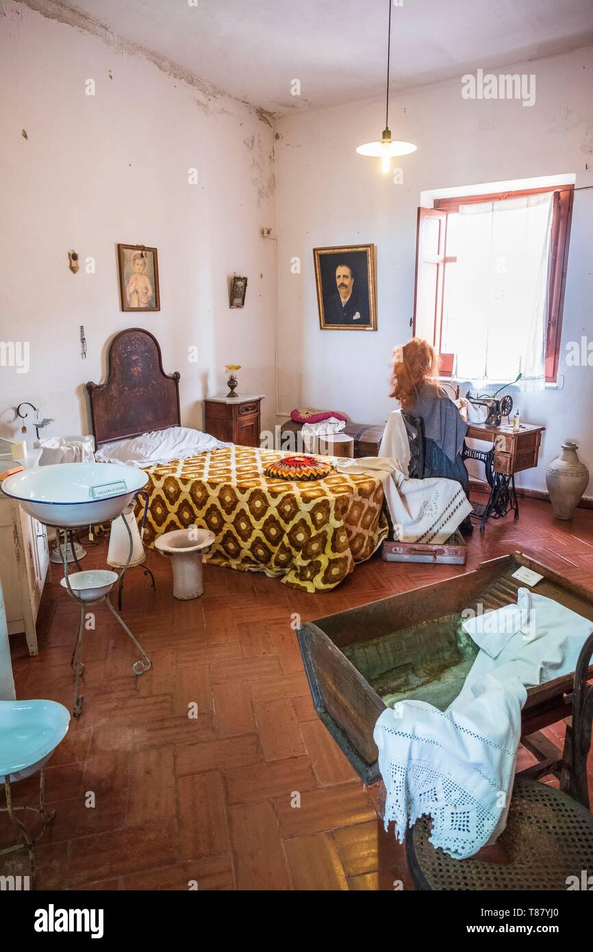 Anthropological museum hi-res stock photography and images - Alamy