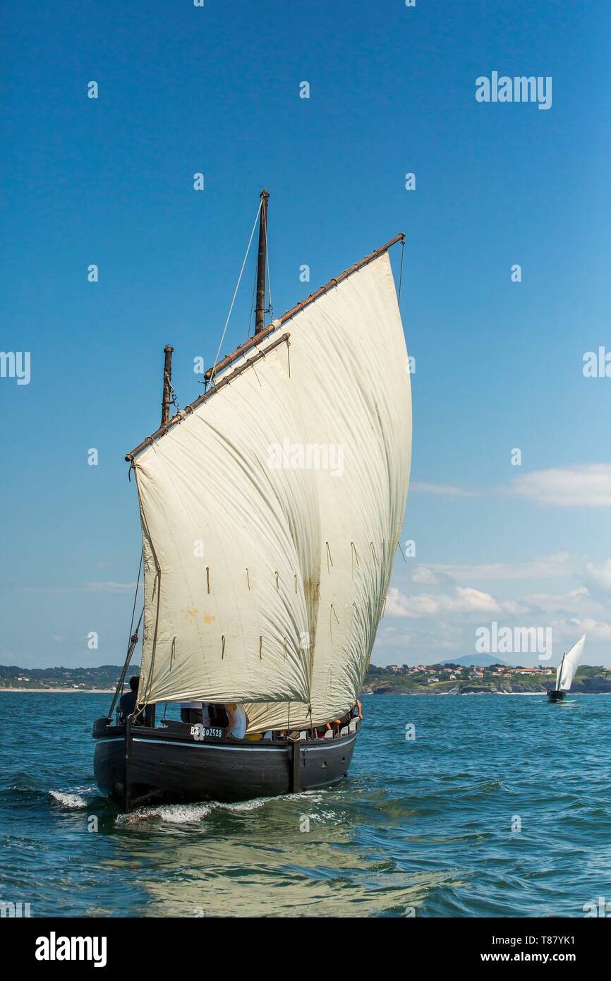 Begia hi-res stock photography and images - Alamy