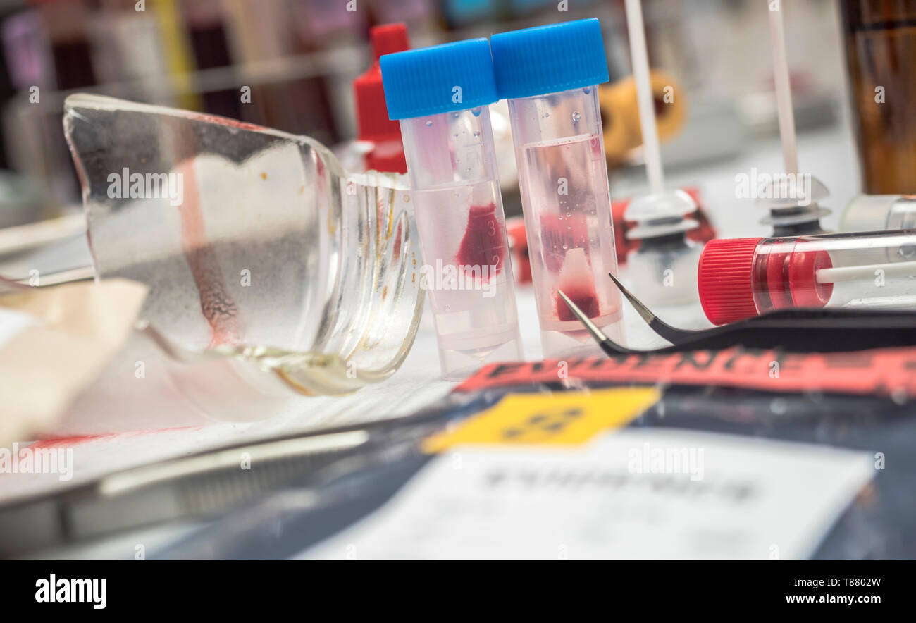 Laboratory investigation hi-res stock photography and images - Alamy