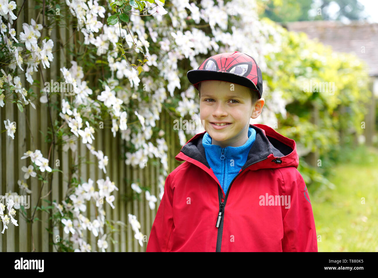 Portrait of a beautiful young boy Stock Photo - Alamy