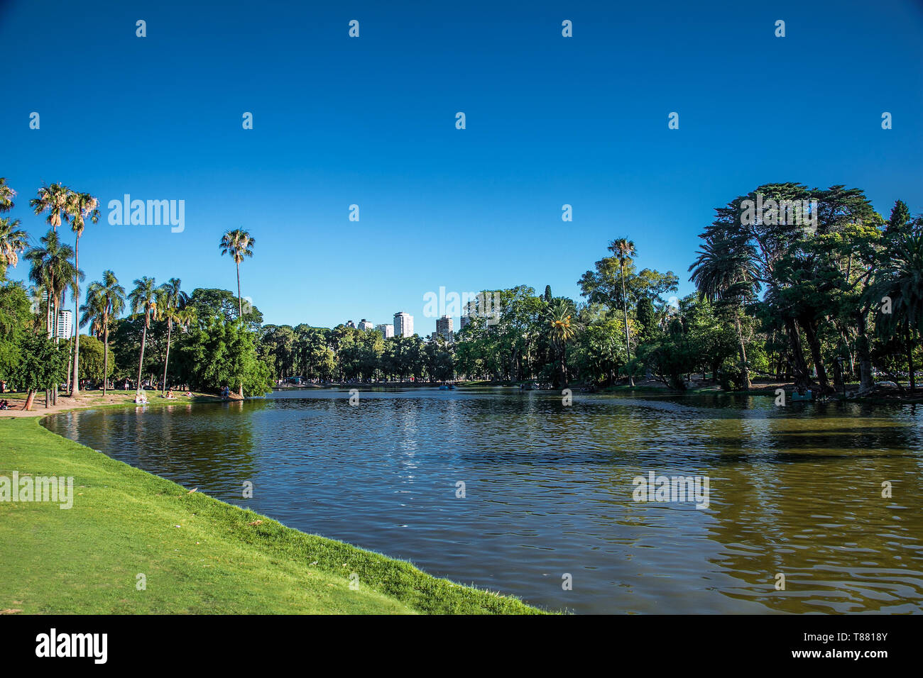 Spring in Palermo Park Lake, Buenos Aires, Argentina Stock Photo - Alamy
