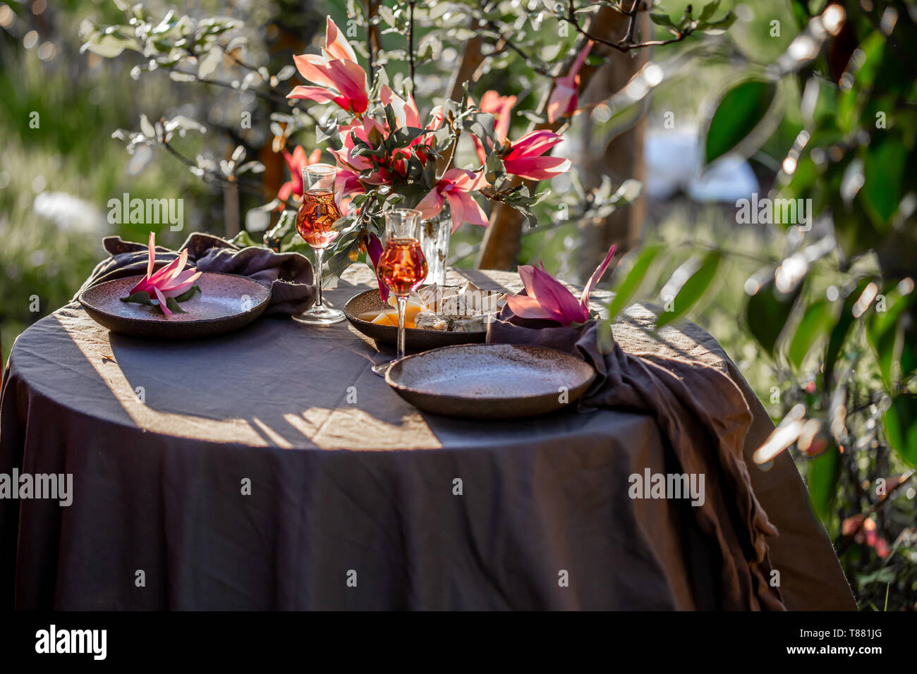 Beautiful table setting in garden on sunset light. Table decorated with ...