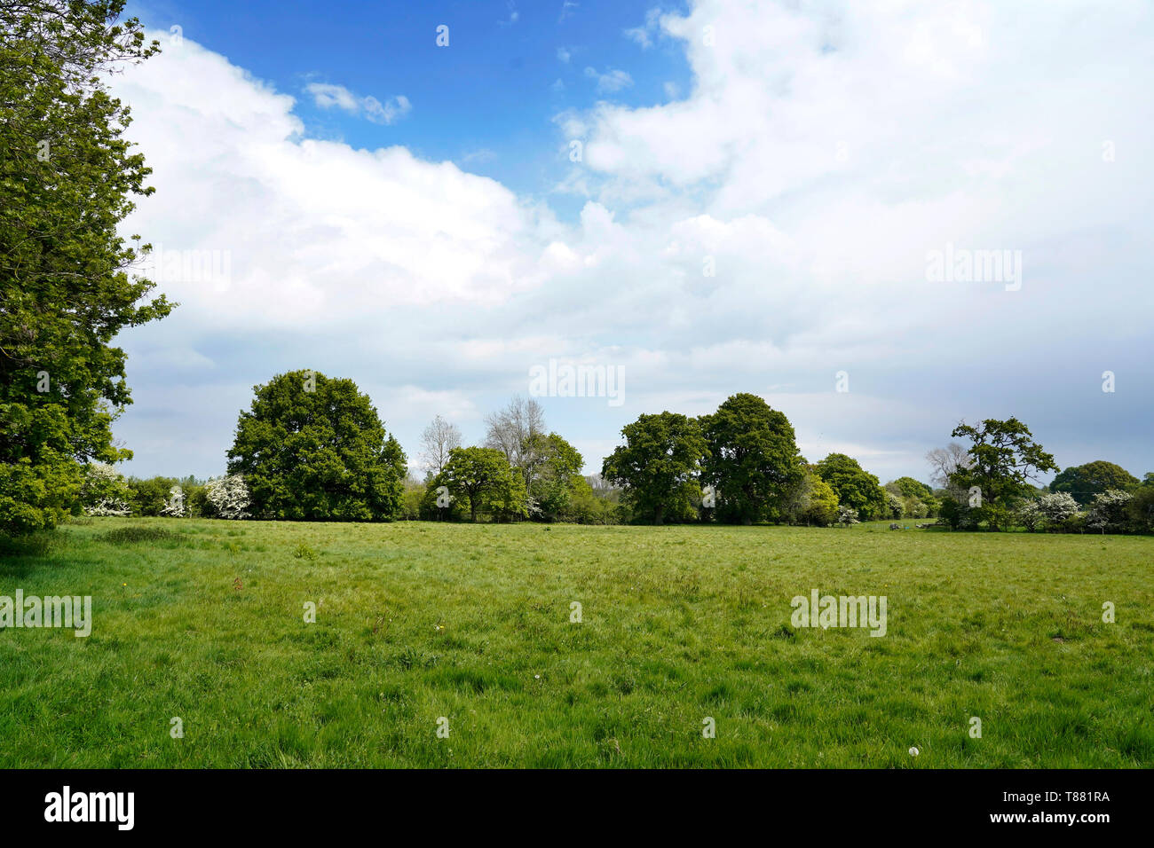 Anglicka priroda hi-res stock photography and images - Alamy