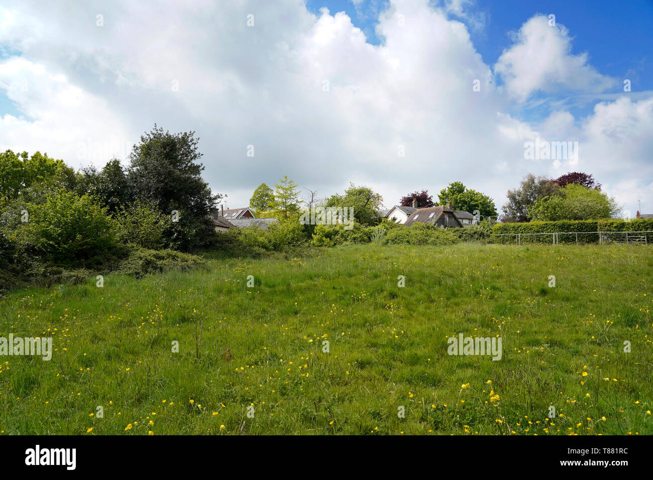 Beautiful English countryside in spring time (East Sussex, South of ...
