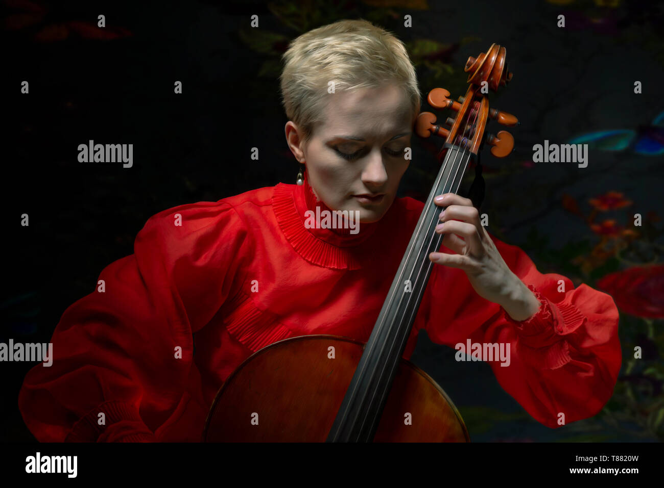 Cello player hi-res stock photography and images - Alamy