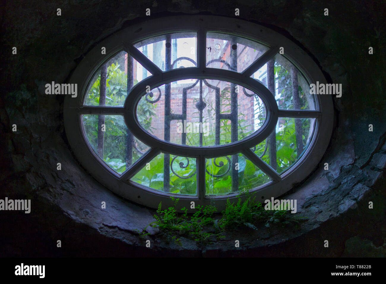 oval cellar window Stock Photo - Alamy