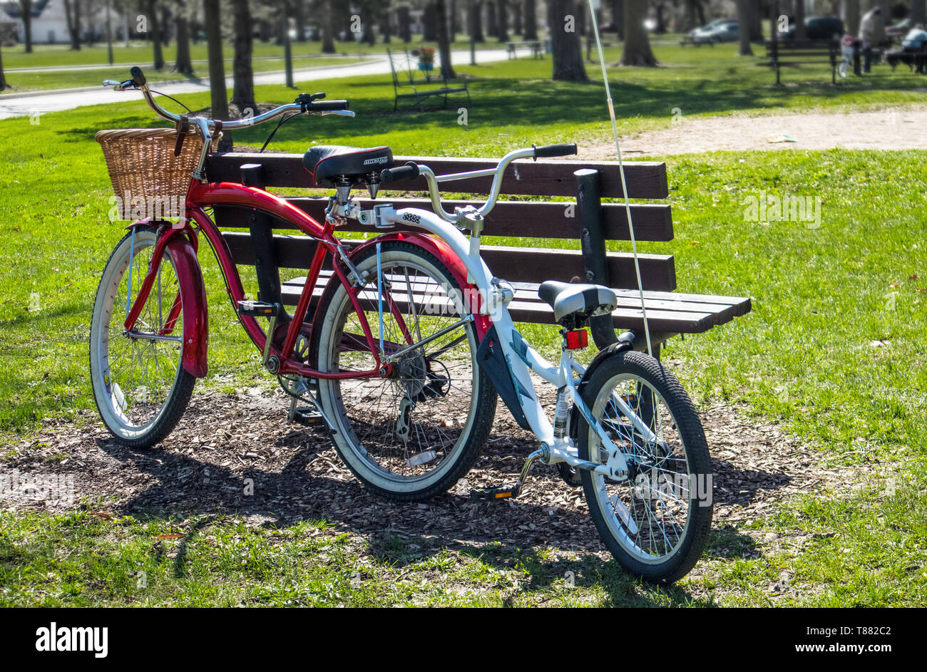 A bike and the trailer for kids. A park view, the bicycle is leaning ...