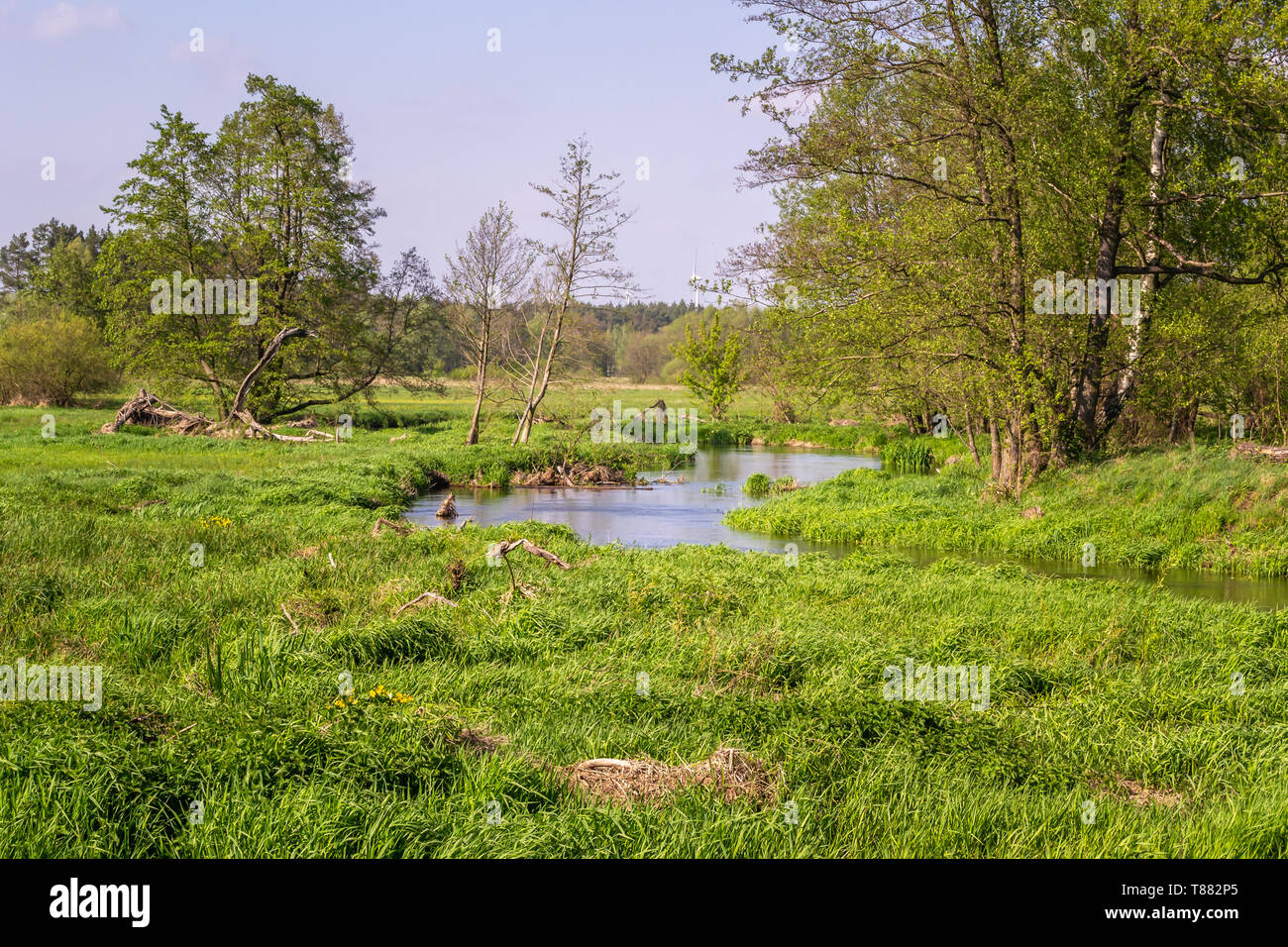 River grabia hi-res stock photography and images - Alamy