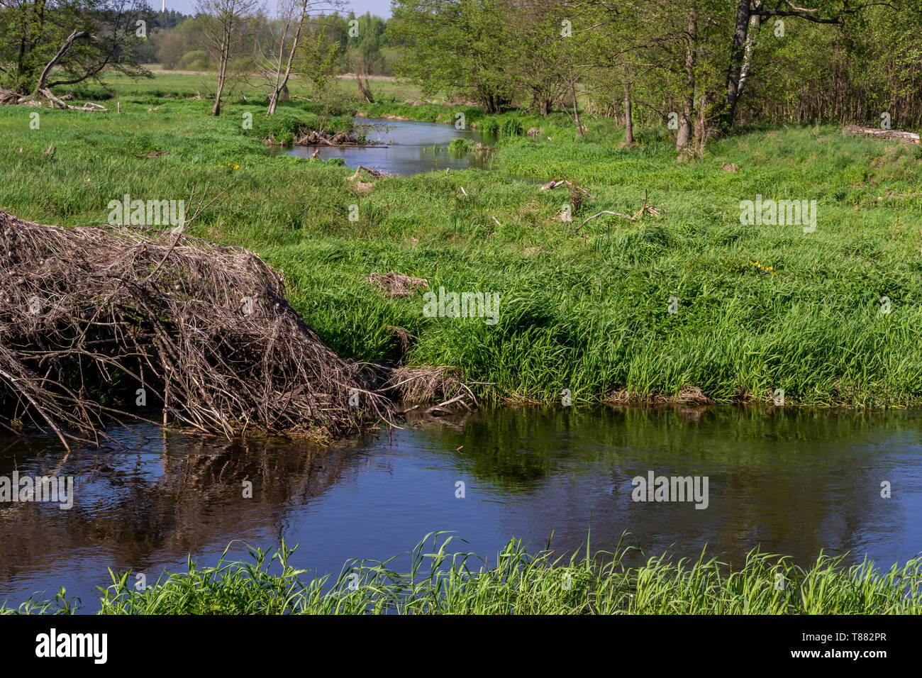 River grabia hi-res stock photography and images - Alamy