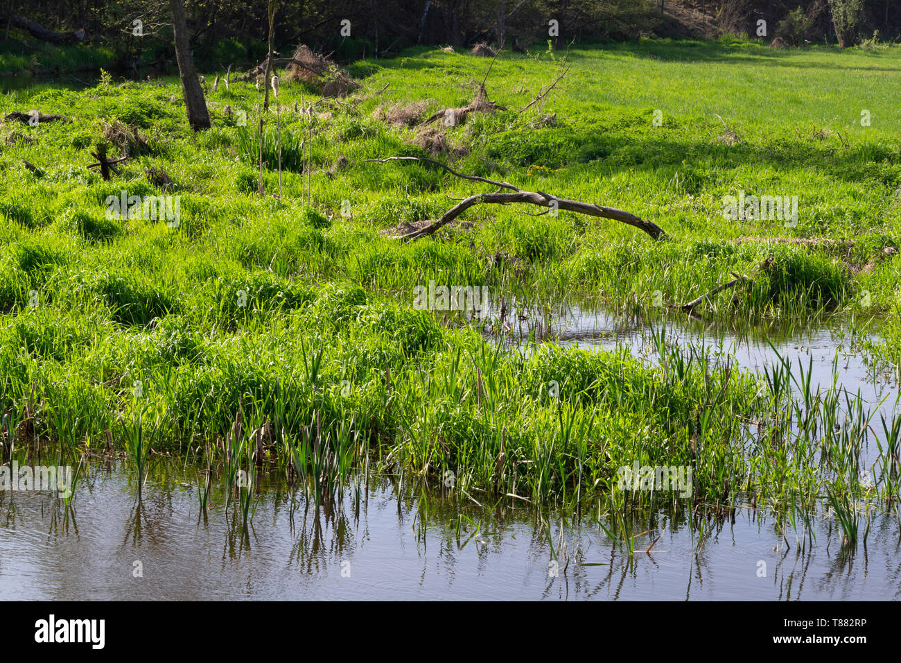 River grabia hi-res stock photography and images - Alamy