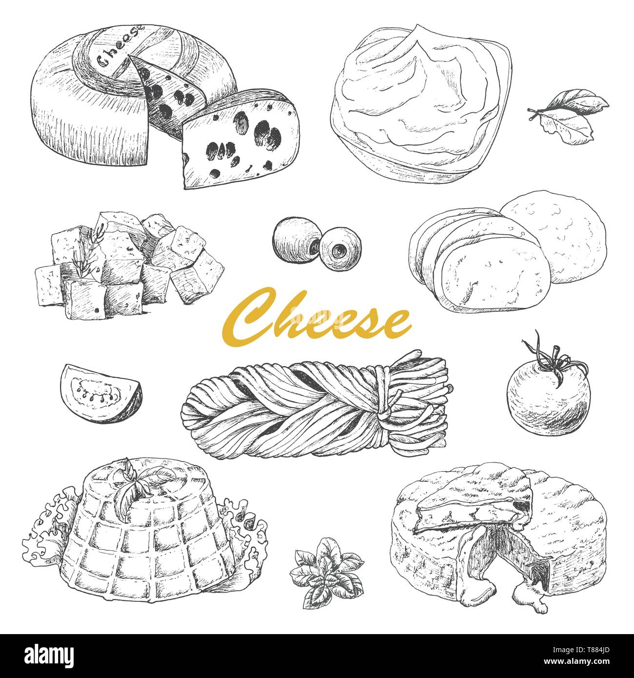 Vector collection of different kinds of cheese. Vector illustration for ...