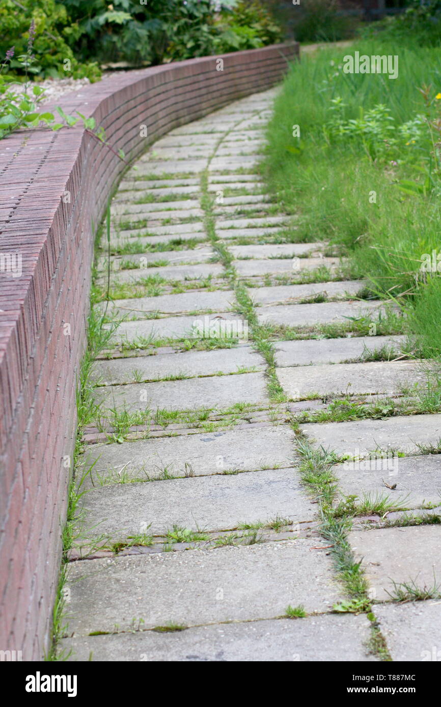 paved path to a brick wall along Stock Photo - Alamy