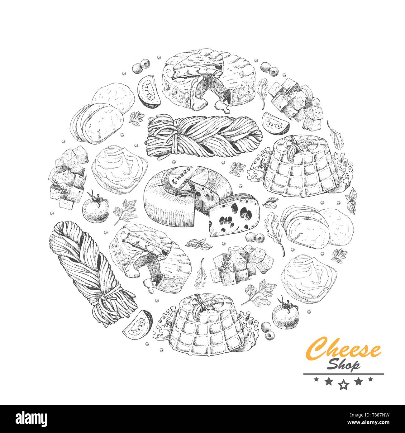 Vector circle from different types of cheese. Vector illustration for ...