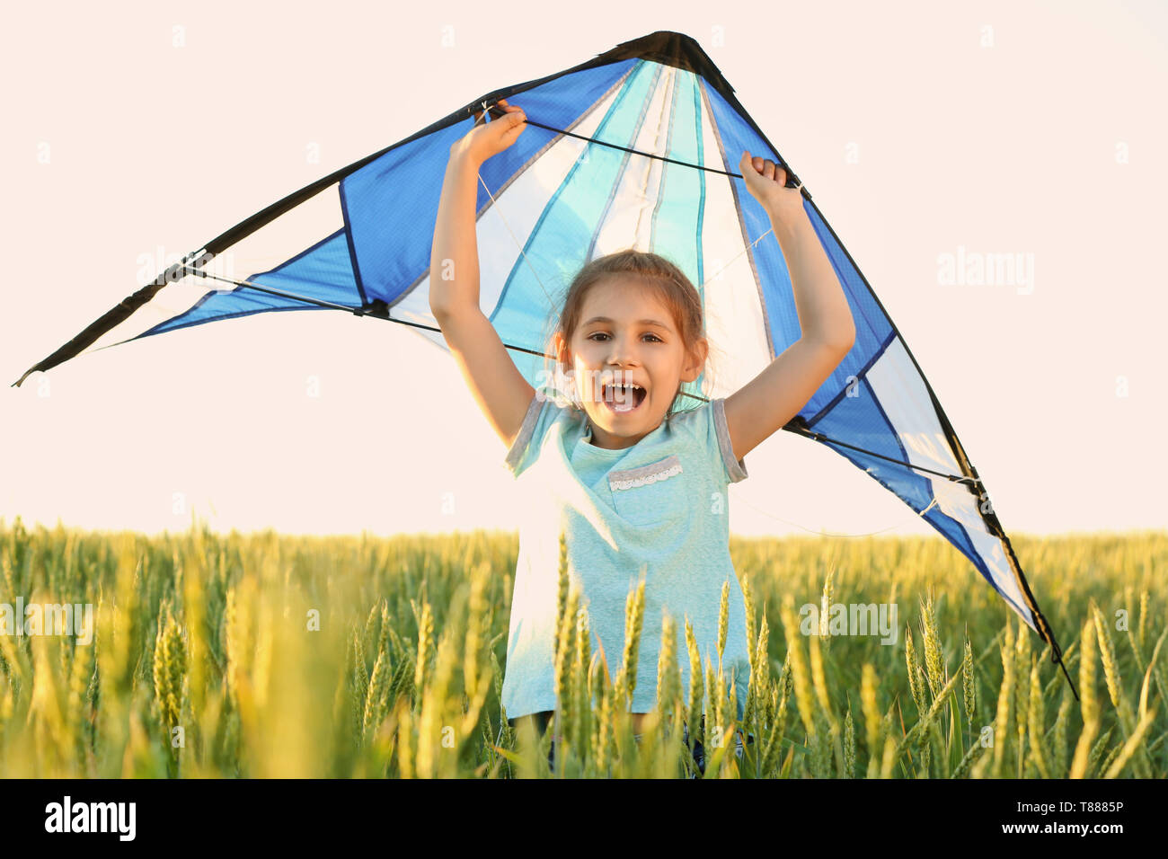 Cute little girl with kite in field Stock Photo - Alamy