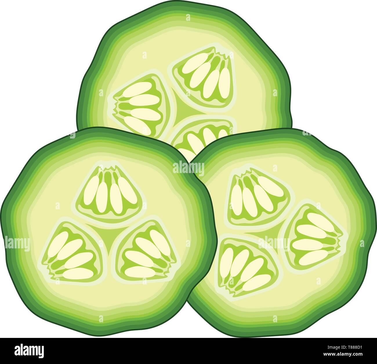 slices of green cucumber on white background. vector illustration Stock ...