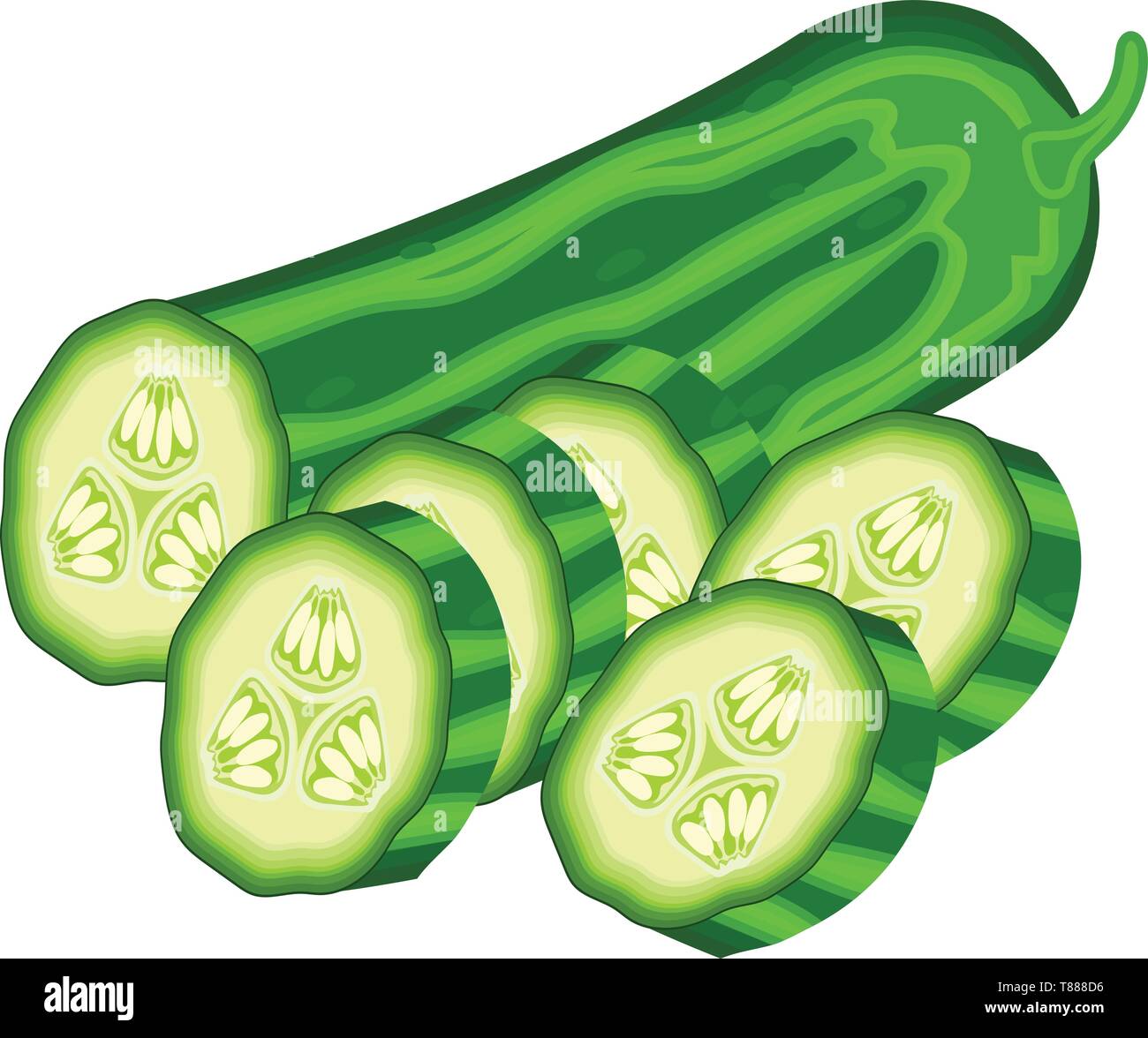 slices of green cucumber on white background. vector illustration Stock ...