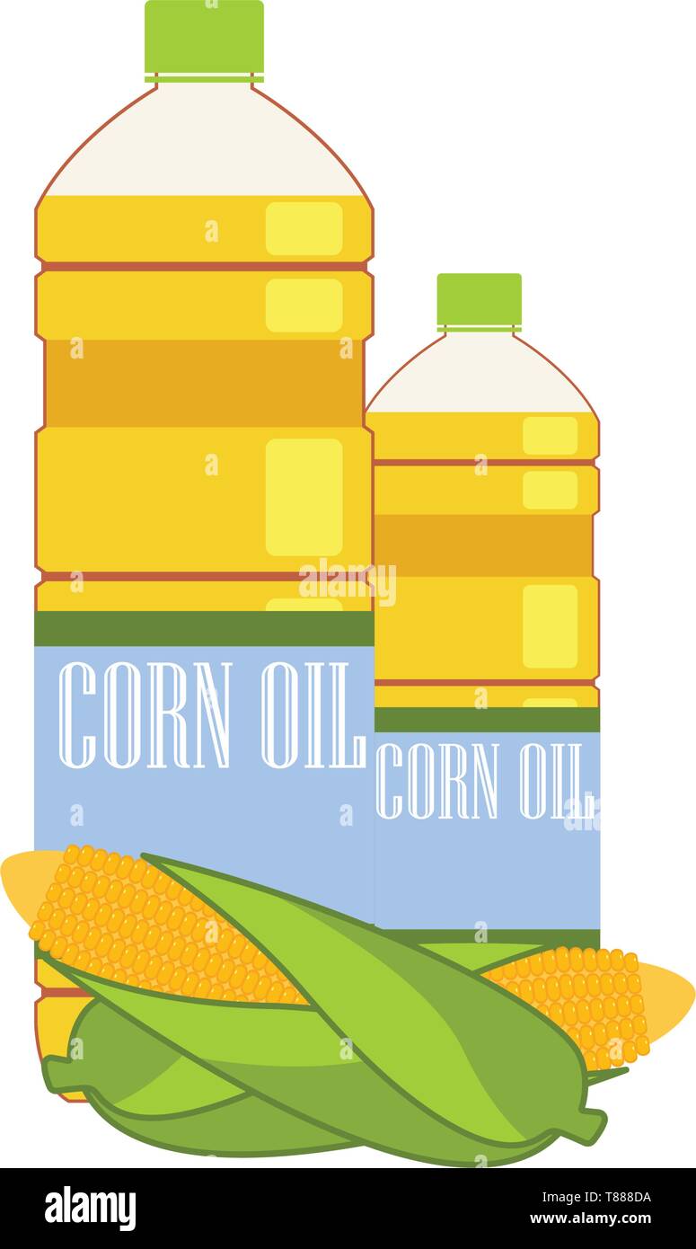 corn oil in the bottle with corn isolated on white background Stock ...