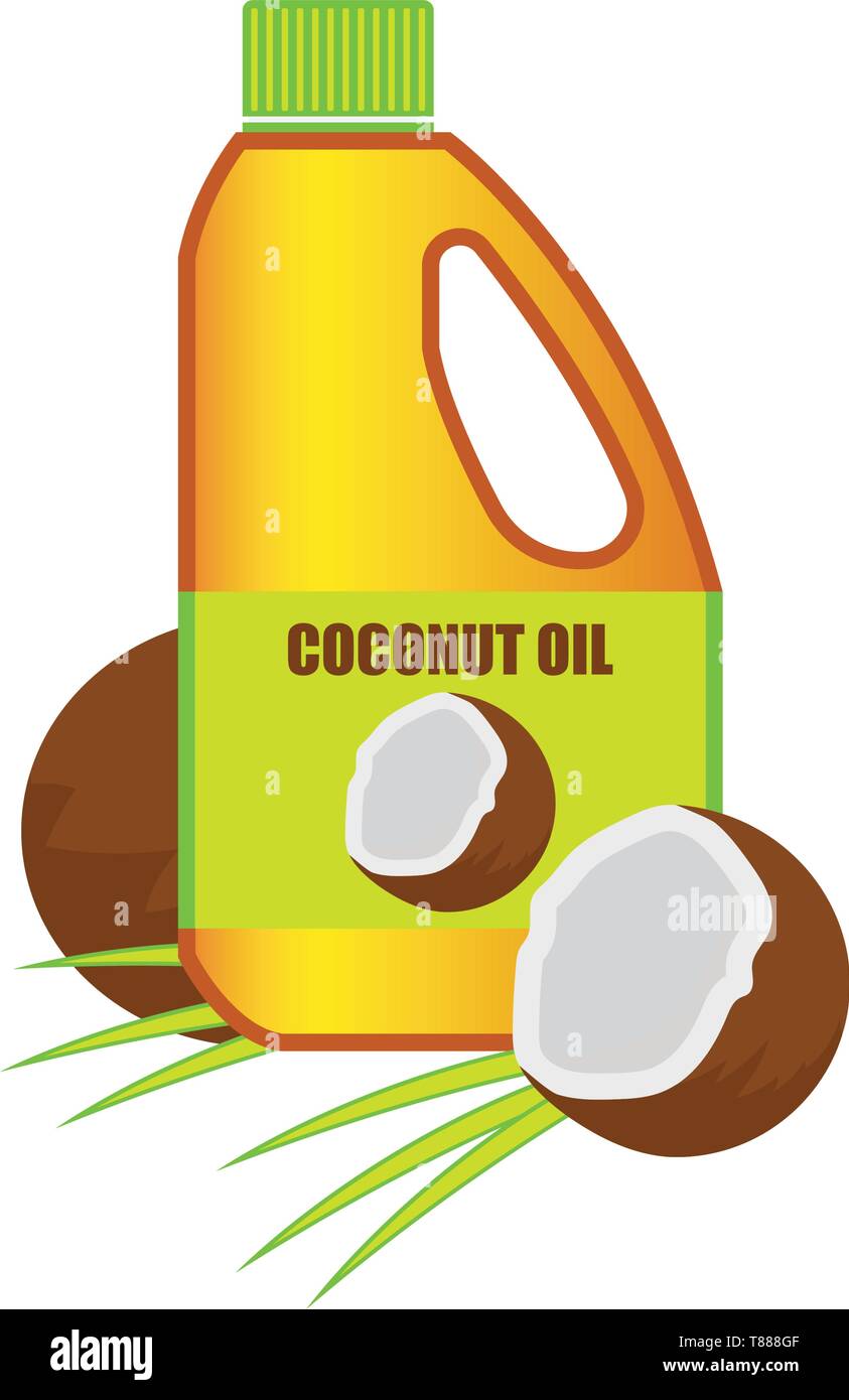 coconut fruit and coconut oil concept. vector illustration Stock Vector ...