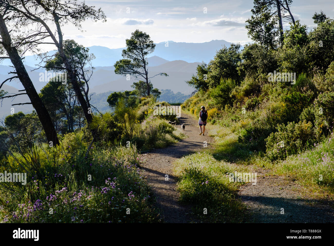 Hiking trails andalucia hi-res stock photography and images - Alamy