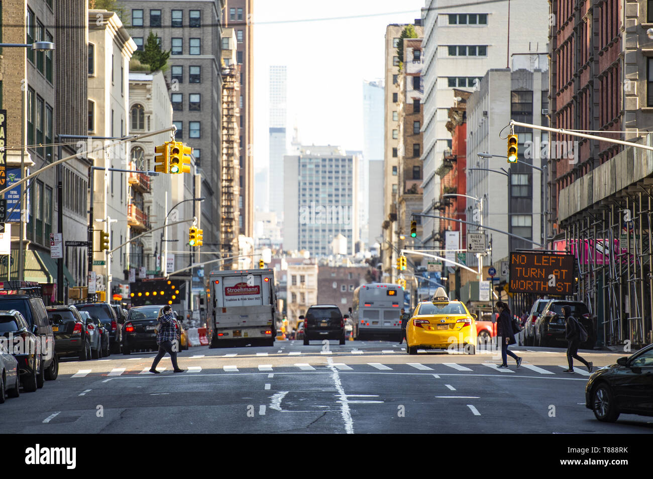 American zebra crossing hi-res stock photography and images - Alamy