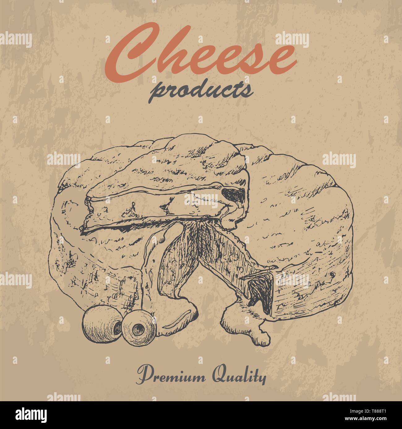 Vector background with cheese. Vector illustration for your design ...