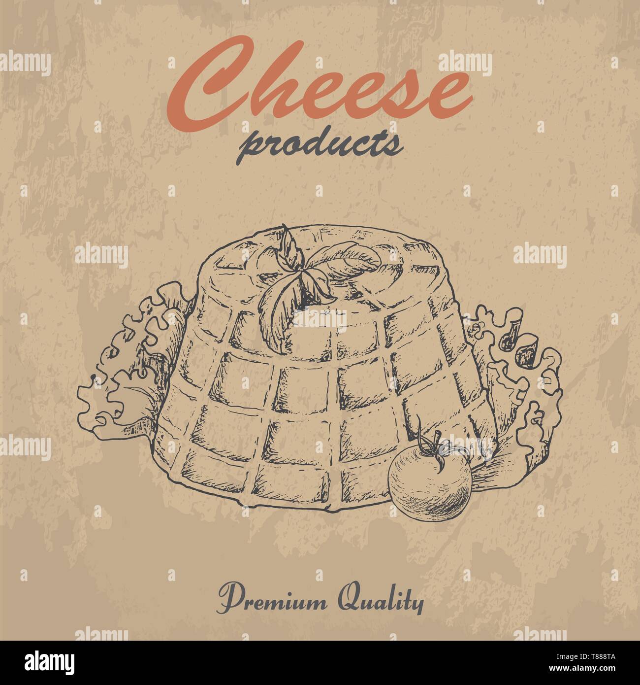 Vector background with cheese. Vector illustration for your design ...