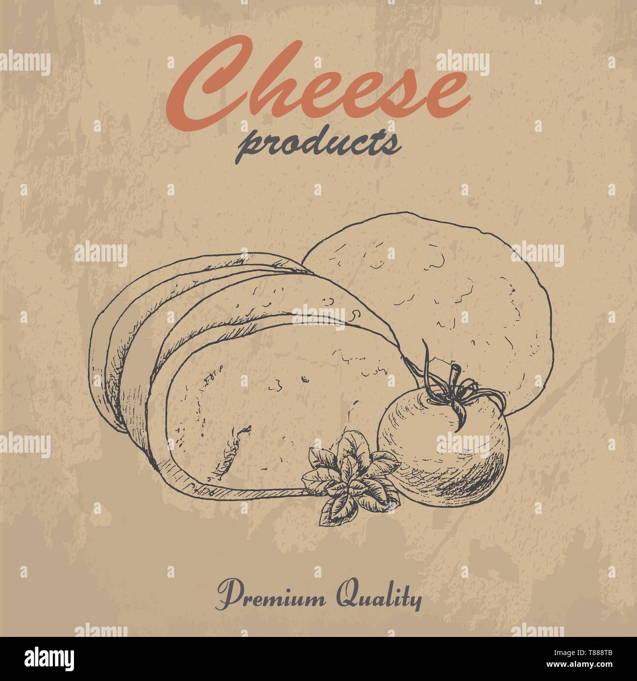Vector background with cheese. Vector illustration for your design ...