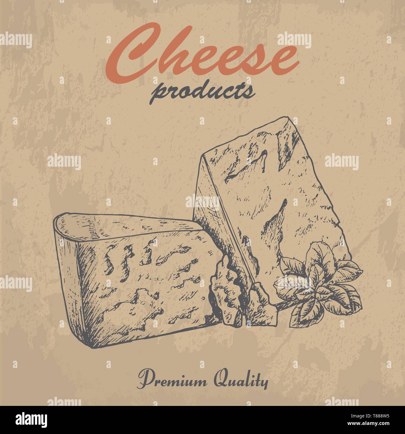 Vector background with cheese. Vector illustration for your design ...