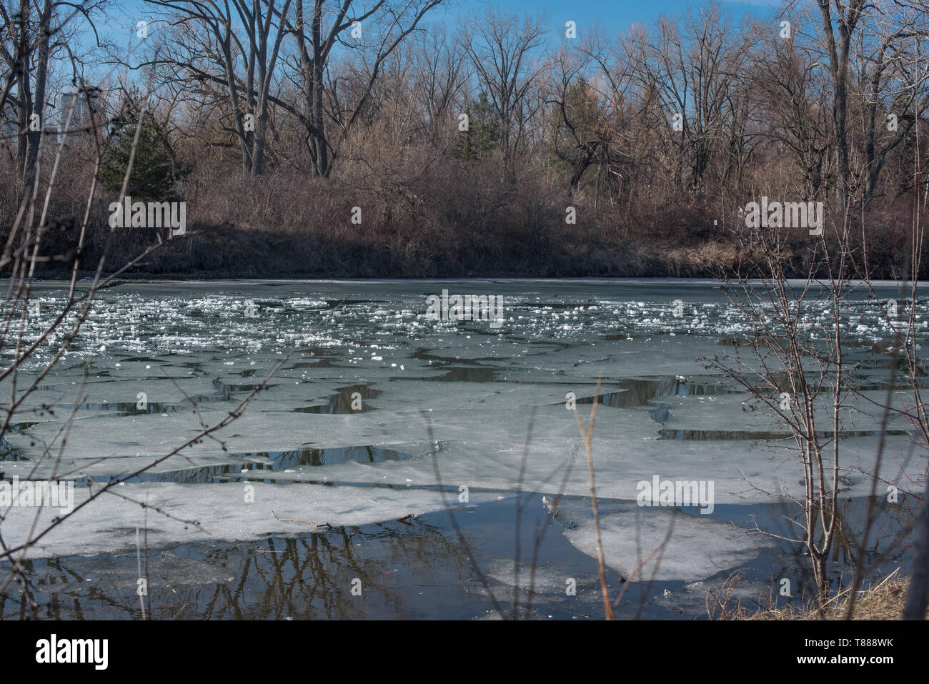 Frozen lake on Toronto Island March 2019 Stock Photo - Alamy