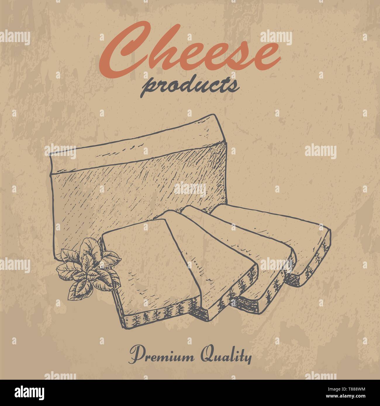 Vector background with cheese. Vector illustration for your design ...