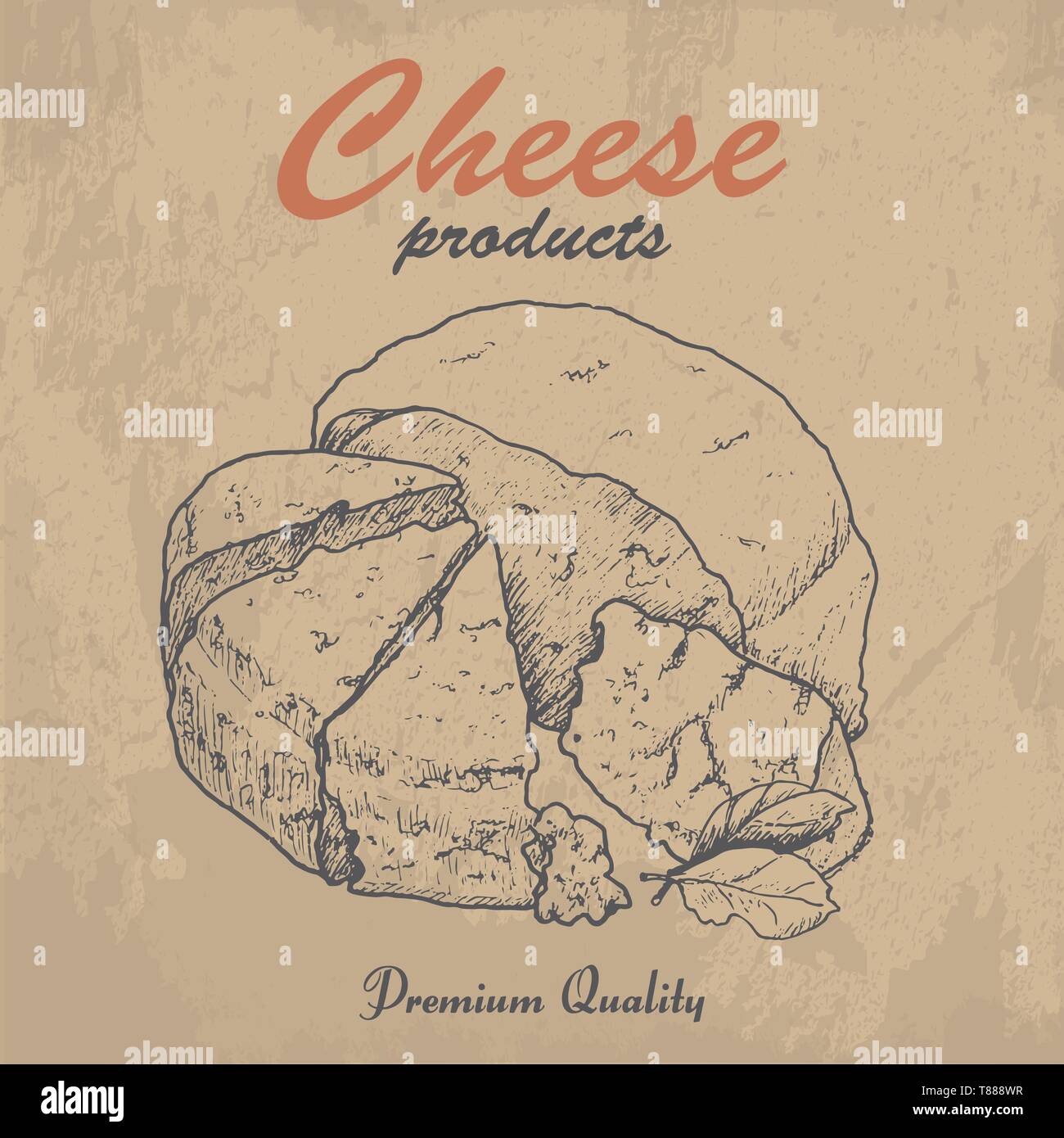 Vector background with cheese. Vector illustration for your design ...