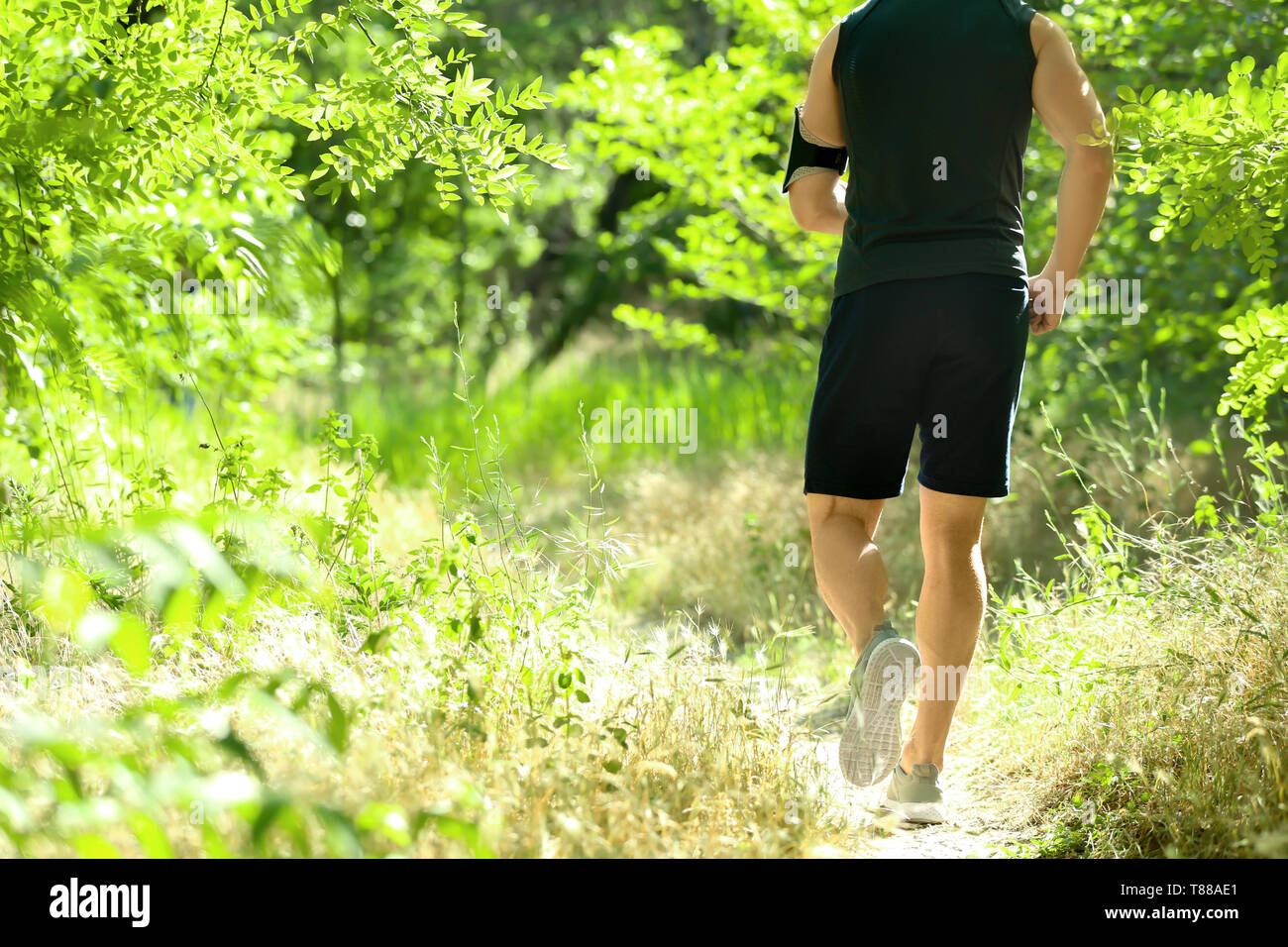 Sporty man running in park Stock Photo - Alamy