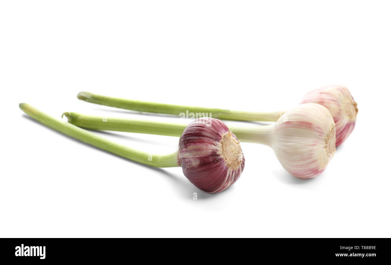 Fresh garlic on white background Stock Photo - Alamy